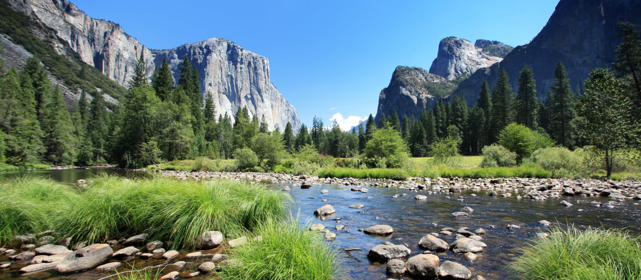 Yosemite Spring Camping Guide - RVC Outdoor Destinations